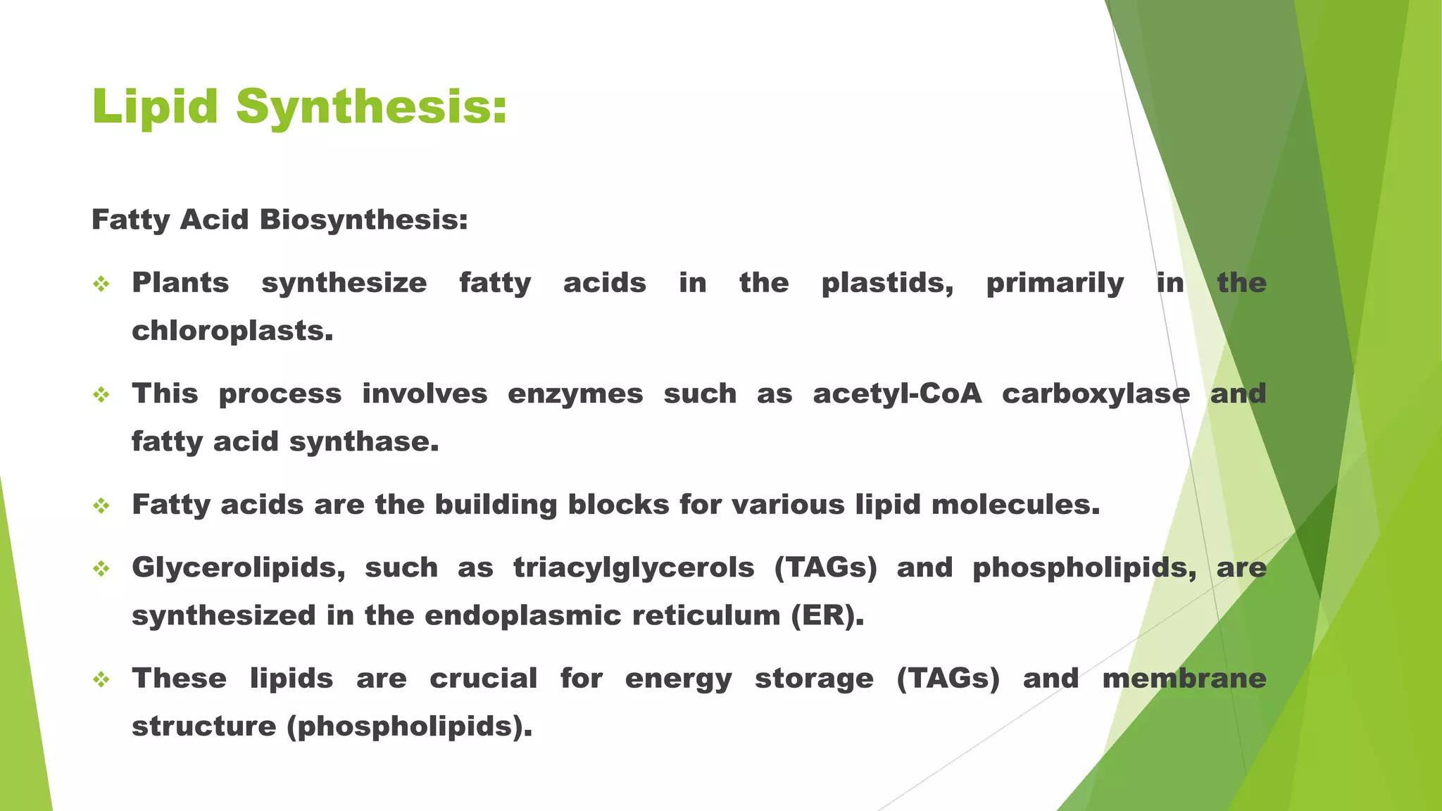 Lipid metabolism in plants.pptx