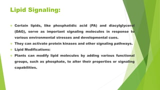 Lipid metabolism in plants.pptx