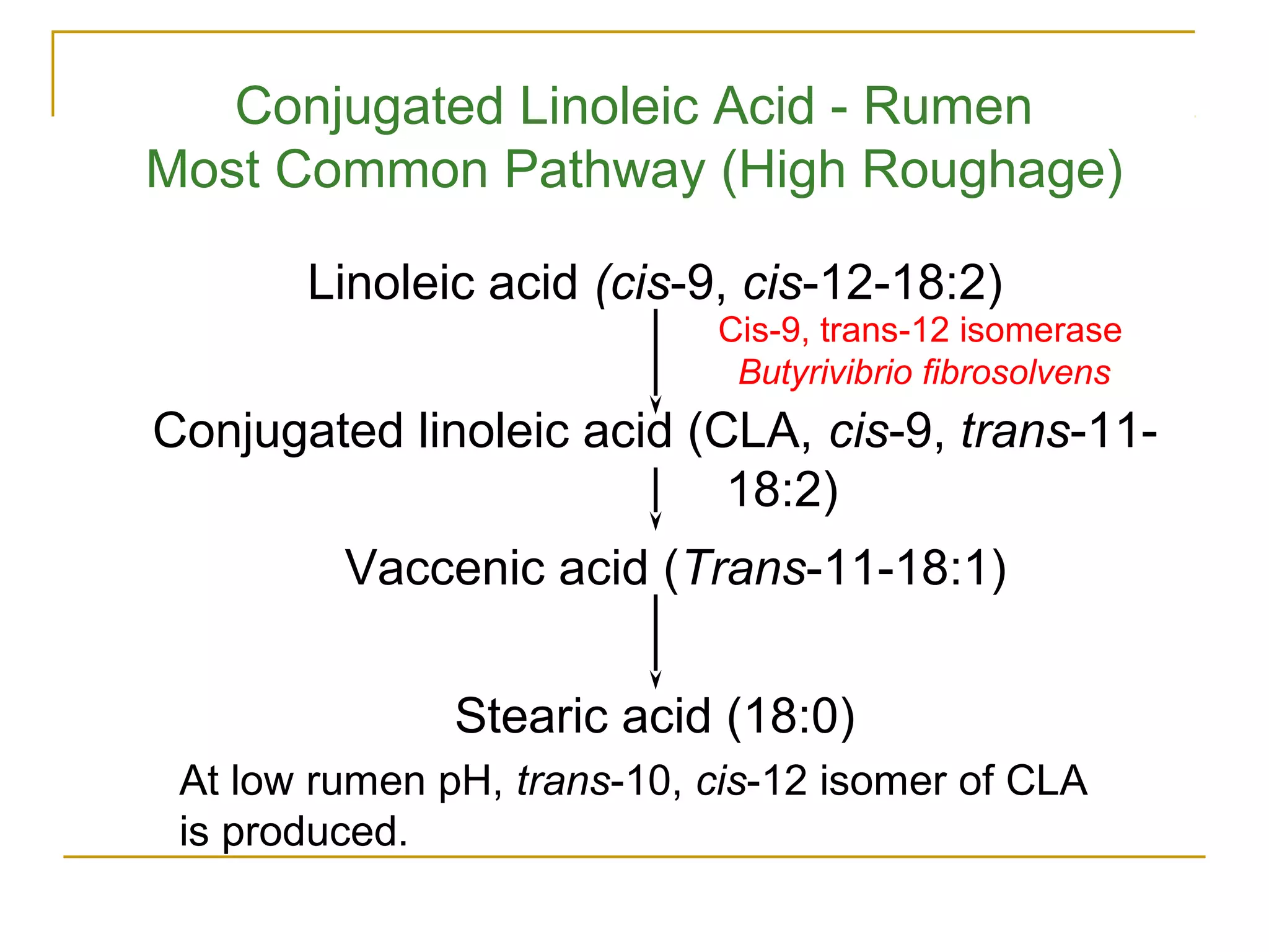 Lipid Metabolism in Ruminants | PPT