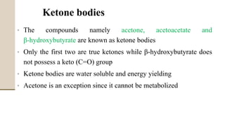 Lipid metabolism: Ketone body metabolism | PDF
