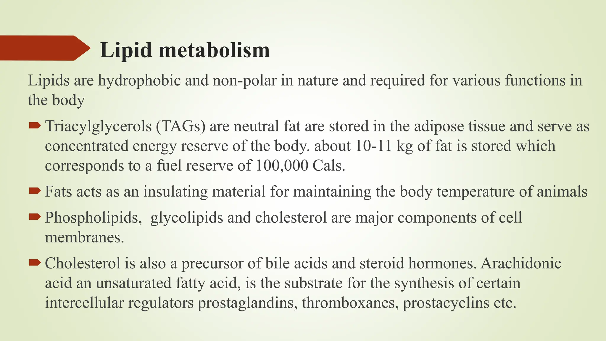 Lipid metabolism - Lipolysis, Beta Oxidation of fatty acids | PDF