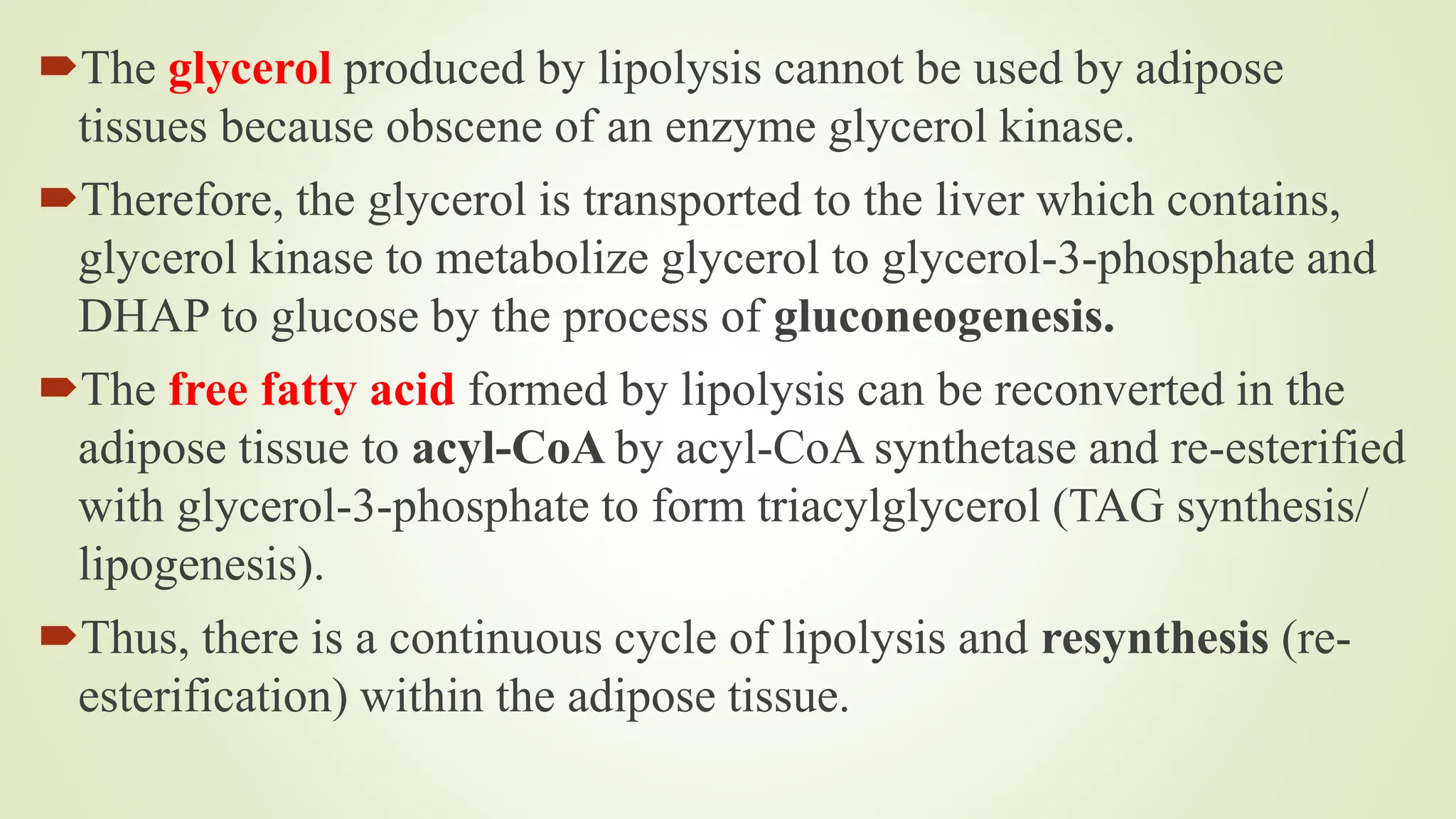 Lipid metabolism - Lipolysis, Beta Oxidation of fatty acids | PDF