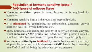 Lipid metabolism - Lipolysis, Beta Oxidation of fatty acids | PDF