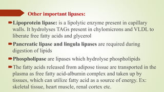 Lipid metabolism - Lipolysis, Beta Oxidation of fatty acids | PDF