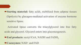 Lipid metabolism - Lipolysis, Beta Oxidation of fatty acids | PDF
