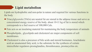 Lipid metabolism - Lipolysis, Beta Oxidation of fatty acids | PDF