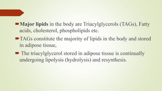 Lipid metabolism - Lipolysis, Beta Oxidation of fatty acids | PDF