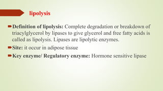 Lipid metabolism - Lipolysis, Beta Oxidation of fatty acids | PDF