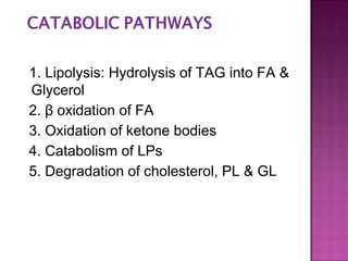 Introduction To Lipid & It’s Intermediary Metabolism | PPT