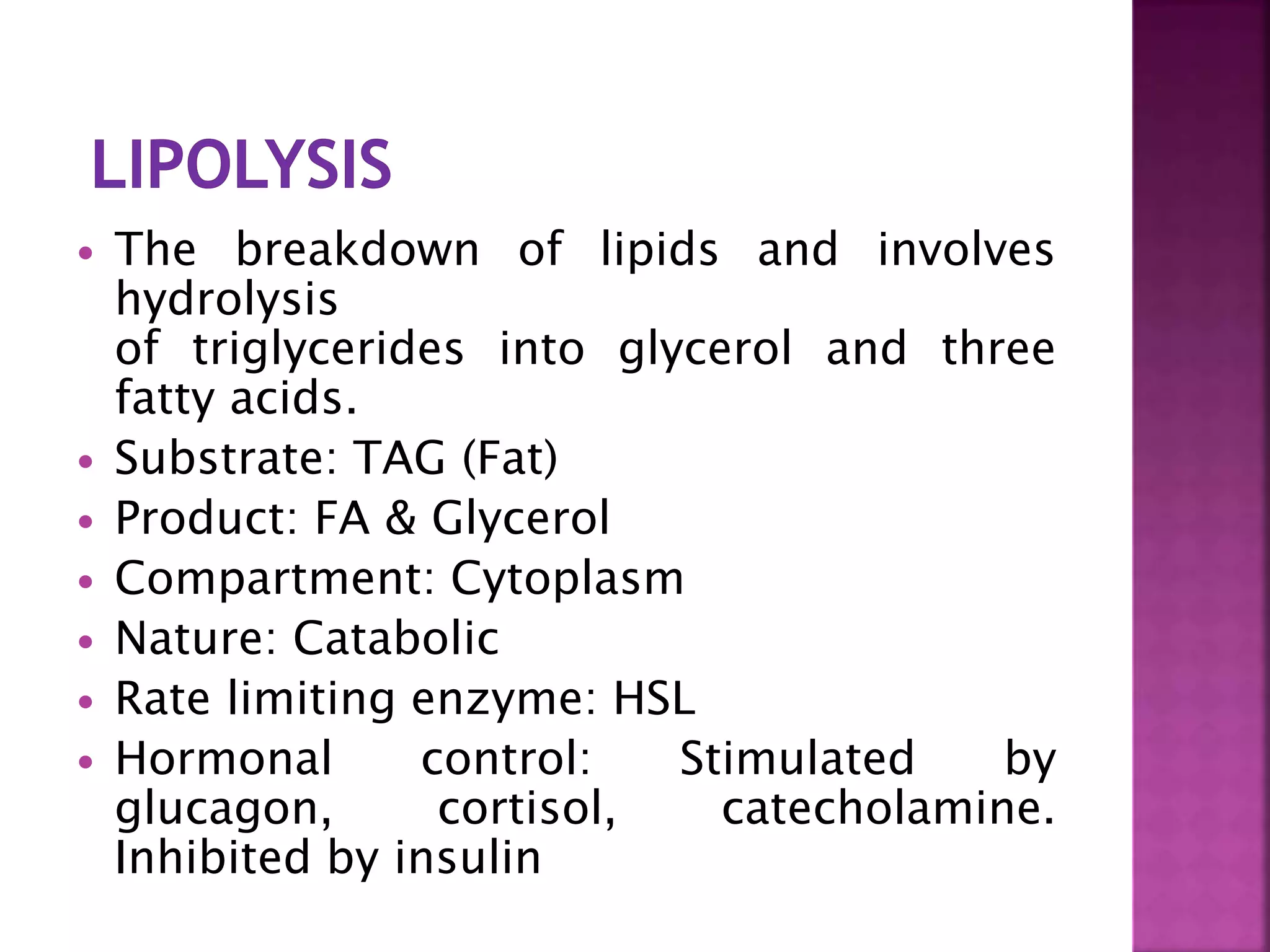 Lipolysis & Fatty acid oxidation | PPT