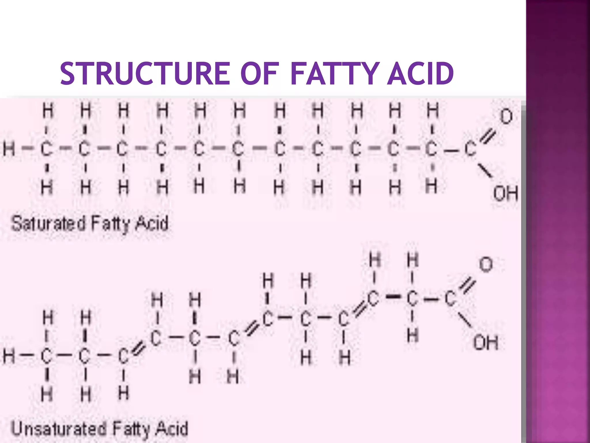 Lipolysis & Fatty acid oxidation | PPT