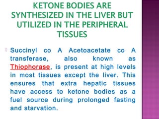 Ketone bodies, ketosis & it’s pathogenesis | PPT