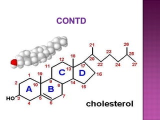Structure Of Cholesterol Labeled