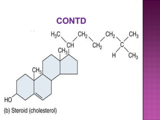 Structure Of Cholesterol Labeled