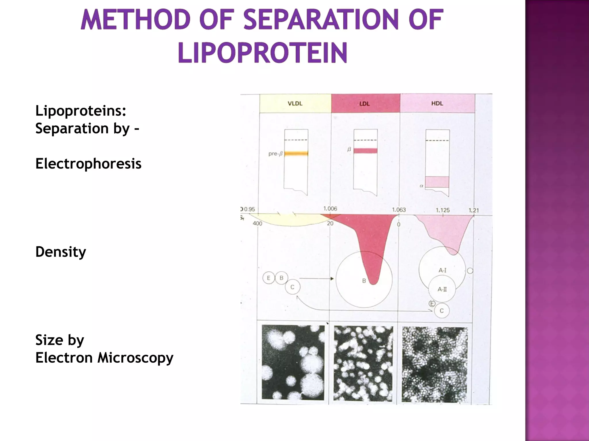 Lipoproteins: Structure, classification, metabolism and significance | PPT
