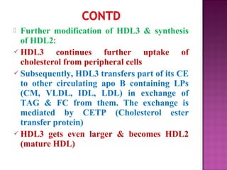 Lipoproteins: Structure, classification, metabolism and significance | PPT