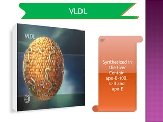 Vldl Structure