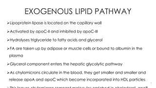 LIPOPROTEIN &LIPID METABOLISM PATHWAY.pdf