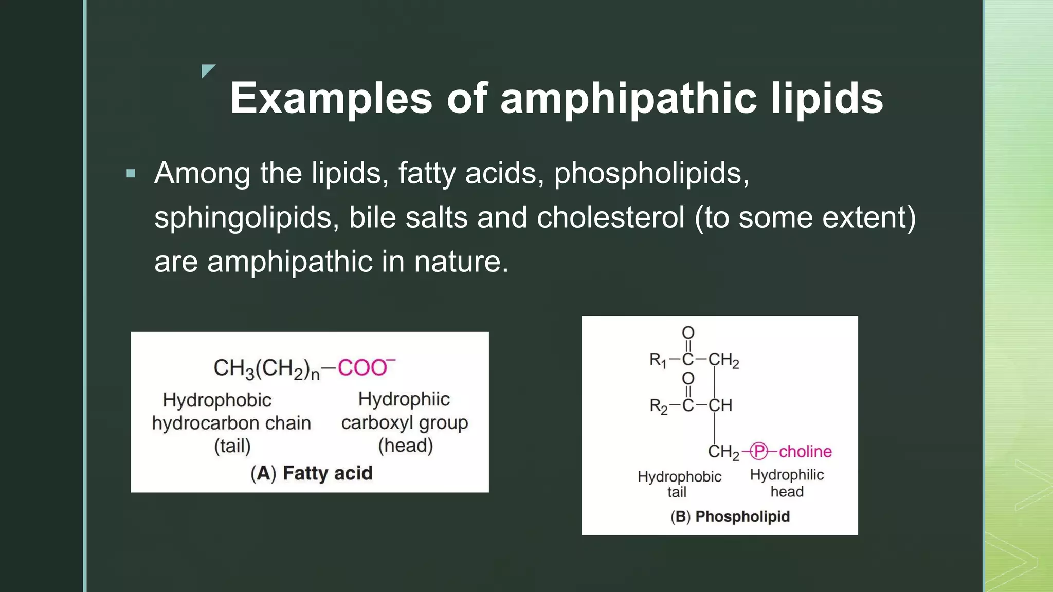 Lipid Micelle formation | PPTX