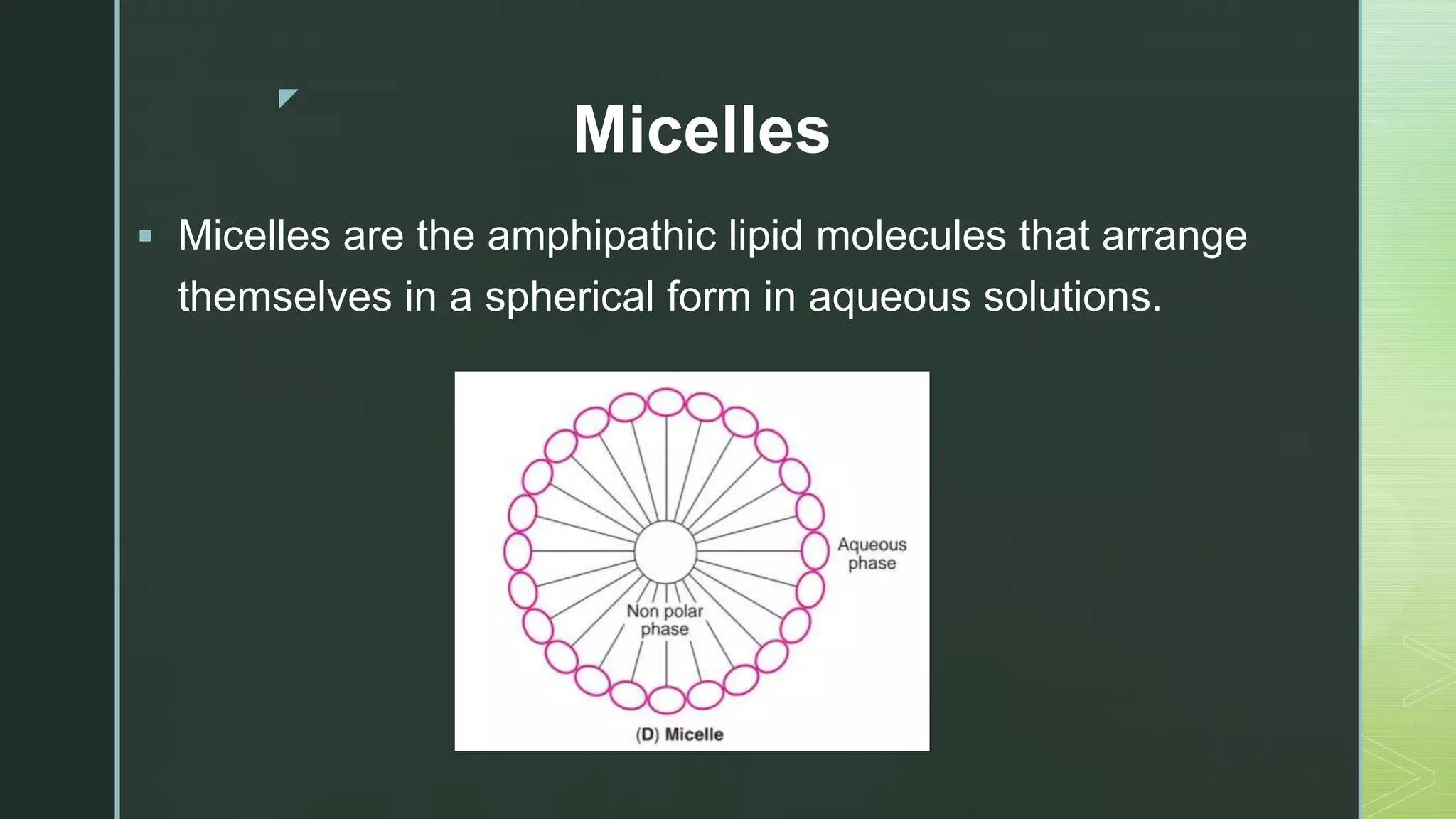 Lipid Micelle formation | PPTX