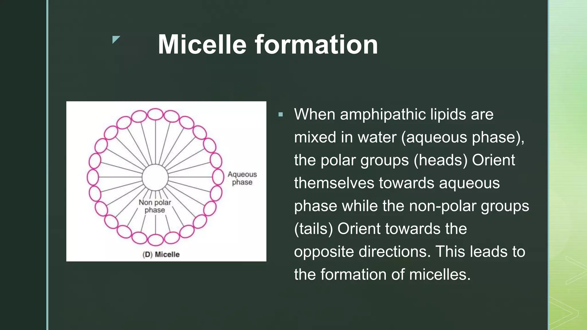 Lipid Micelle formation | PPTX