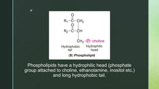 Lipid Micelle formation | PPTX