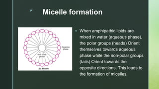 Lipid Micelle formation | PPTX