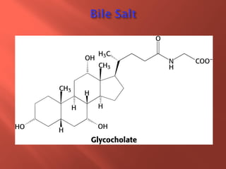 Lipid mobilization | PPT