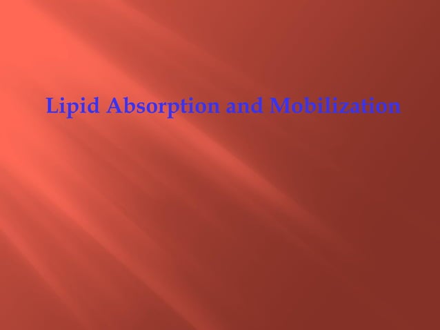 Lipid mobilization | PPT | Nutrition | Healthy Living