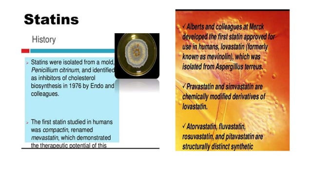 Lipid modifying and antiatherosclerotic drugs | PPT