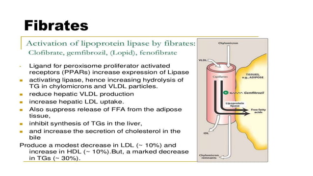 Lipid modifying and antiatherosclerotic drugs | PPT
