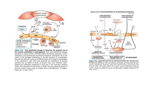 Lipid modifying and antiatherosclerotic drugs | PPTX