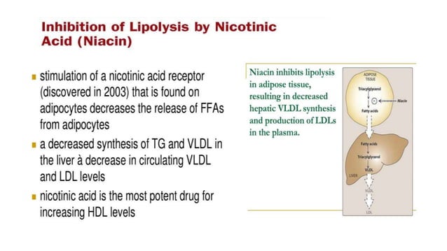 Lipid modifying and antiatherosclerotic drugs | PPT