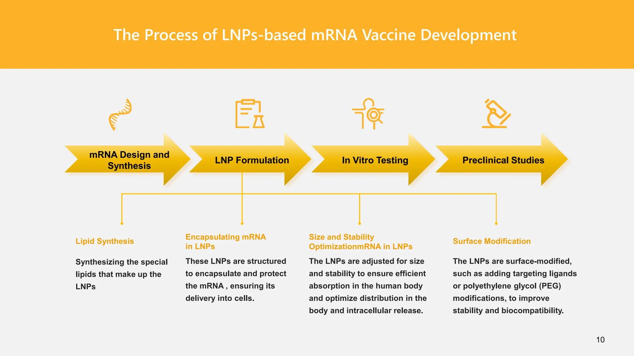 Lipid Nanoparticle-based mRNA Vaccine Creative Biolabs.pptx