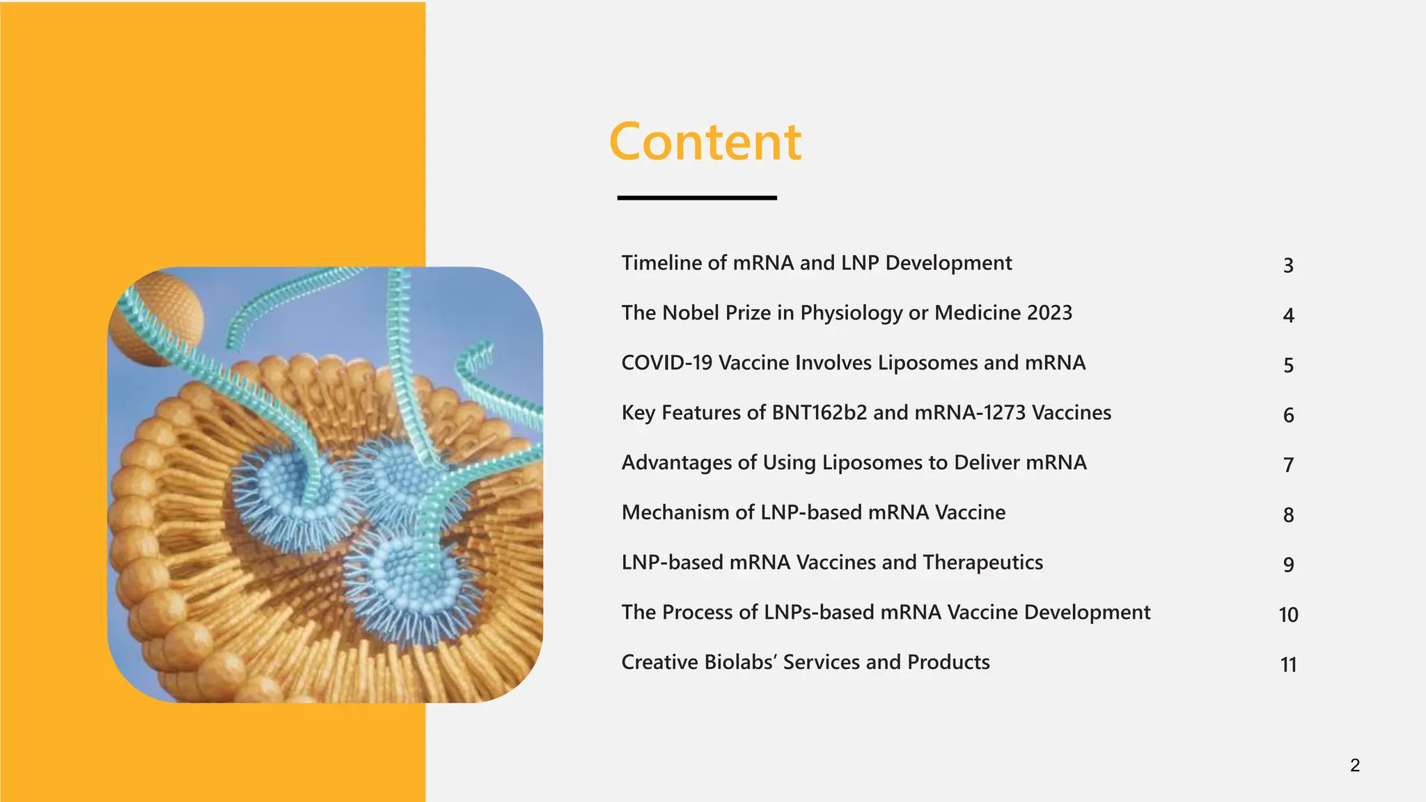 Lipid Nanoparticle-based mRNA Vaccine Creative Biolabs.pptx