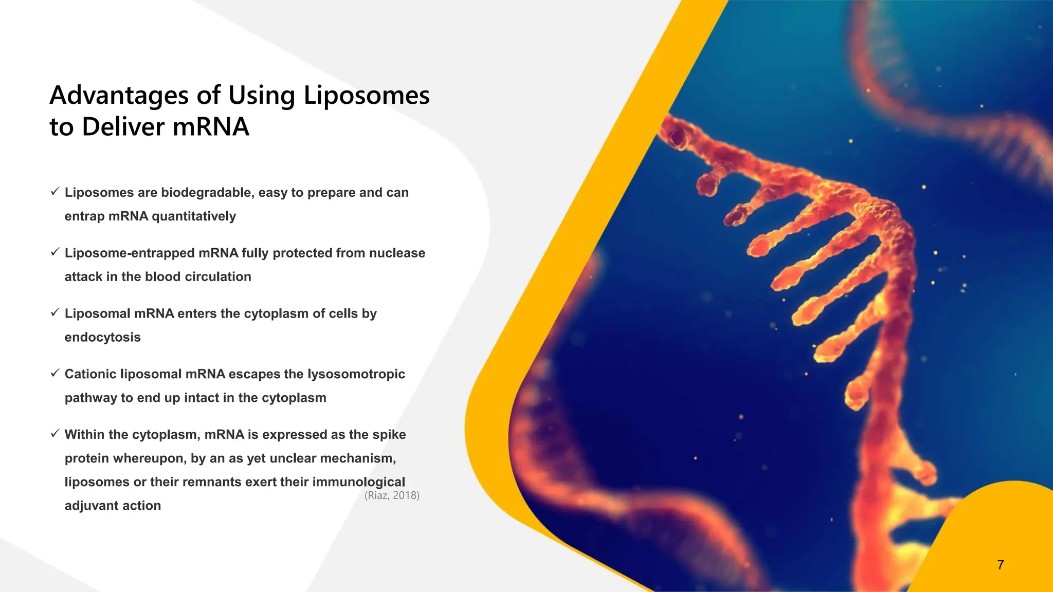 Lipid Nanoparticle-based mRNA Vaccine Creative Biolabs.pptx