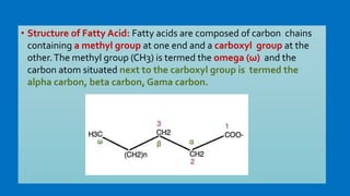 LIPID | PPTX