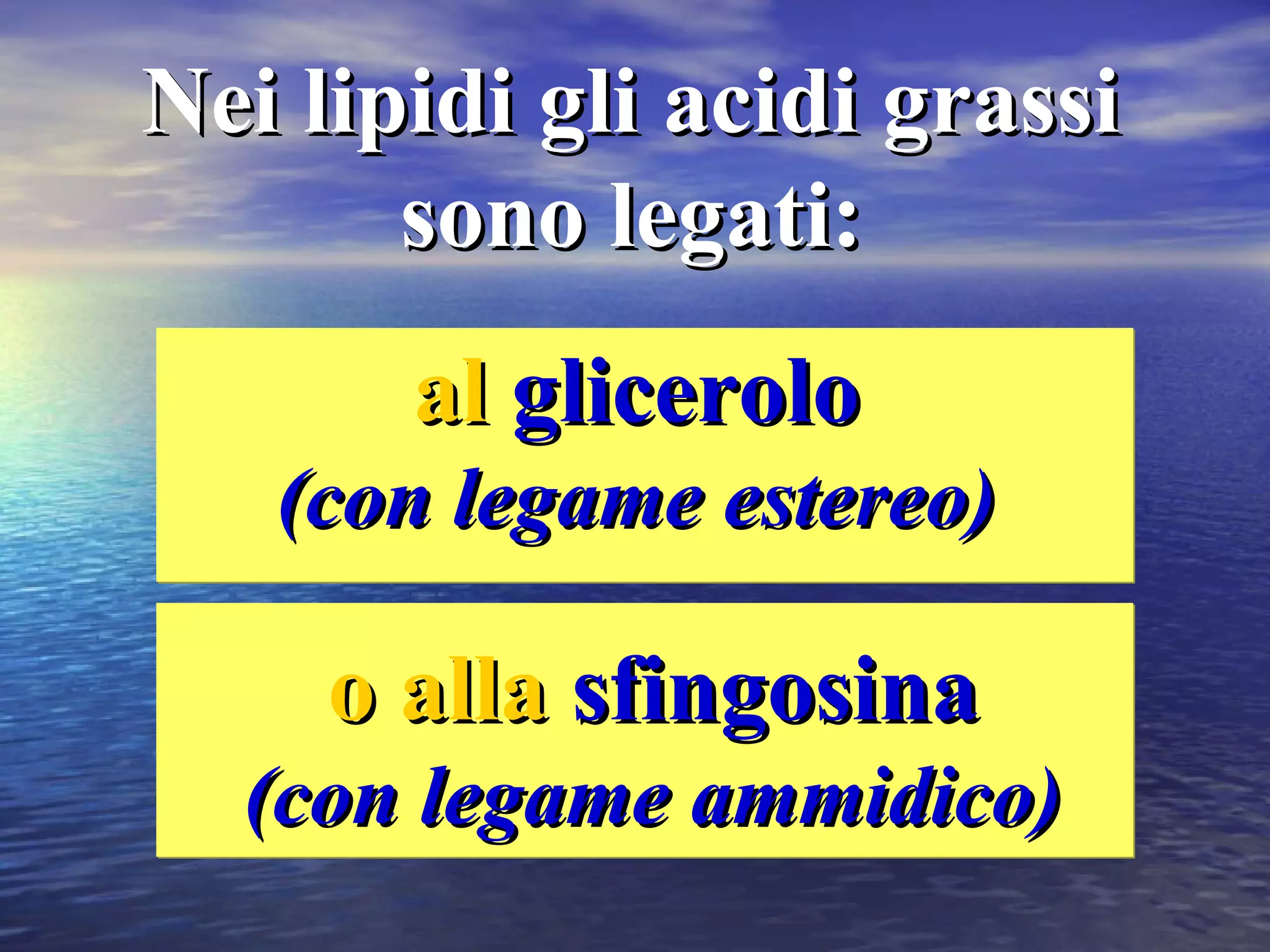 Lipidomica e dislipidemie | PPT