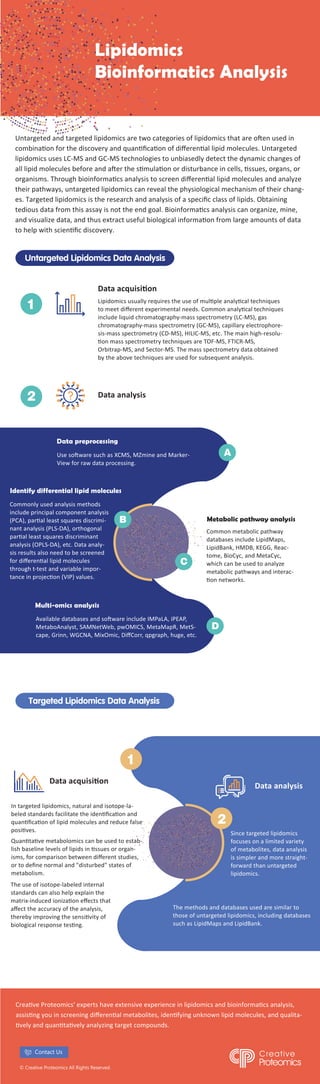 Lipidomics Bioinformatics Analysis | PDF