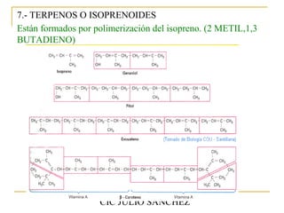 Lipidos | PPT