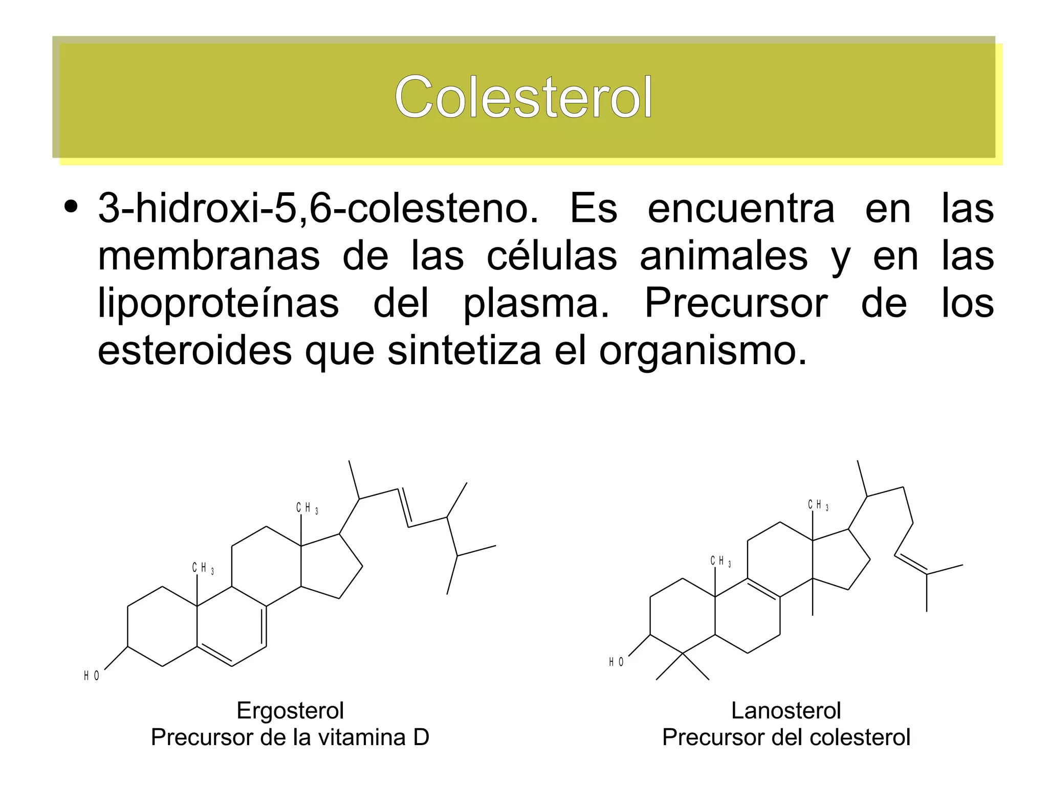 Lipidos estructura y función | ODP
