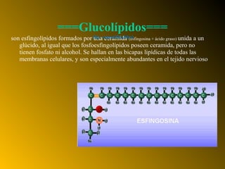 Lipidos | PPT