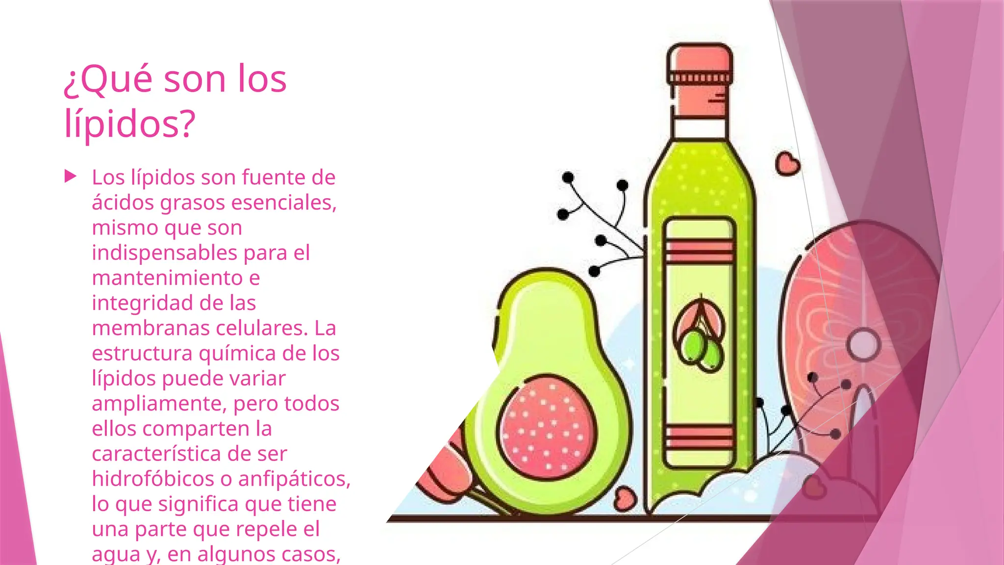 LIPIDOS clasificación de los lípidos yyy | PPTX