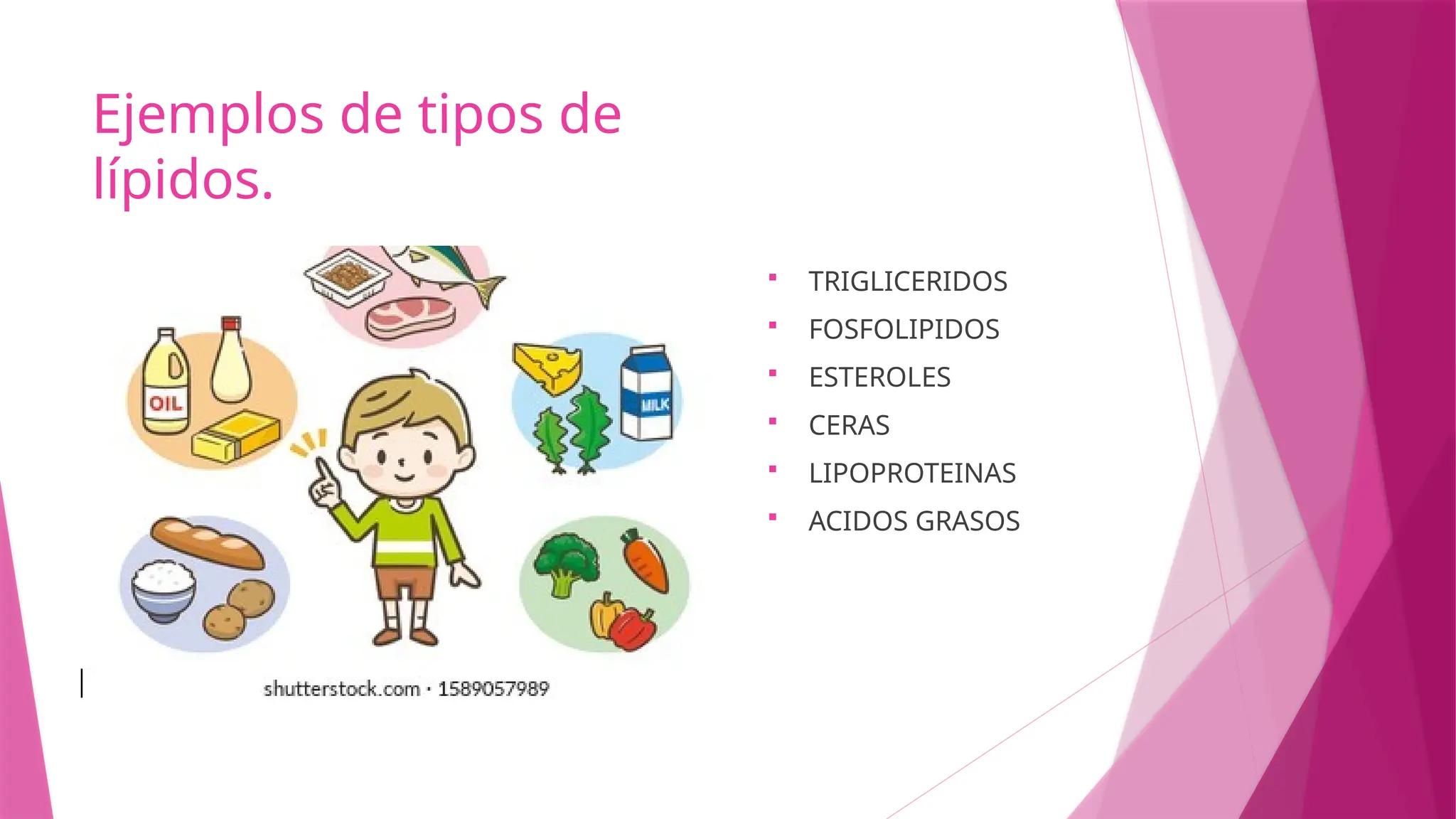 LIPIDOS clasificación de los lípidos yyy | PPTX