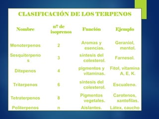 Lipidos, explicacion de que son y sus funciones | PPT