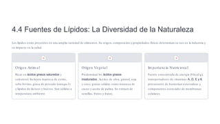Lípidos en la Ciencia de Alimentos: Fuentes, Procesos y Deterioro | PDF