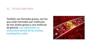 Lipidos grasas | PPTX