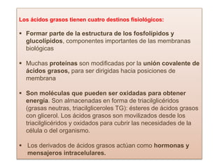 LIPIDOS - QUIMICA I - 1. INTRODUCCIÓN.pptx
