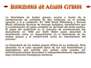 LIPIDOS - QUIMICA I - 6. BIOSÍNTESIS DE ACIDOS GRASOS.pptx