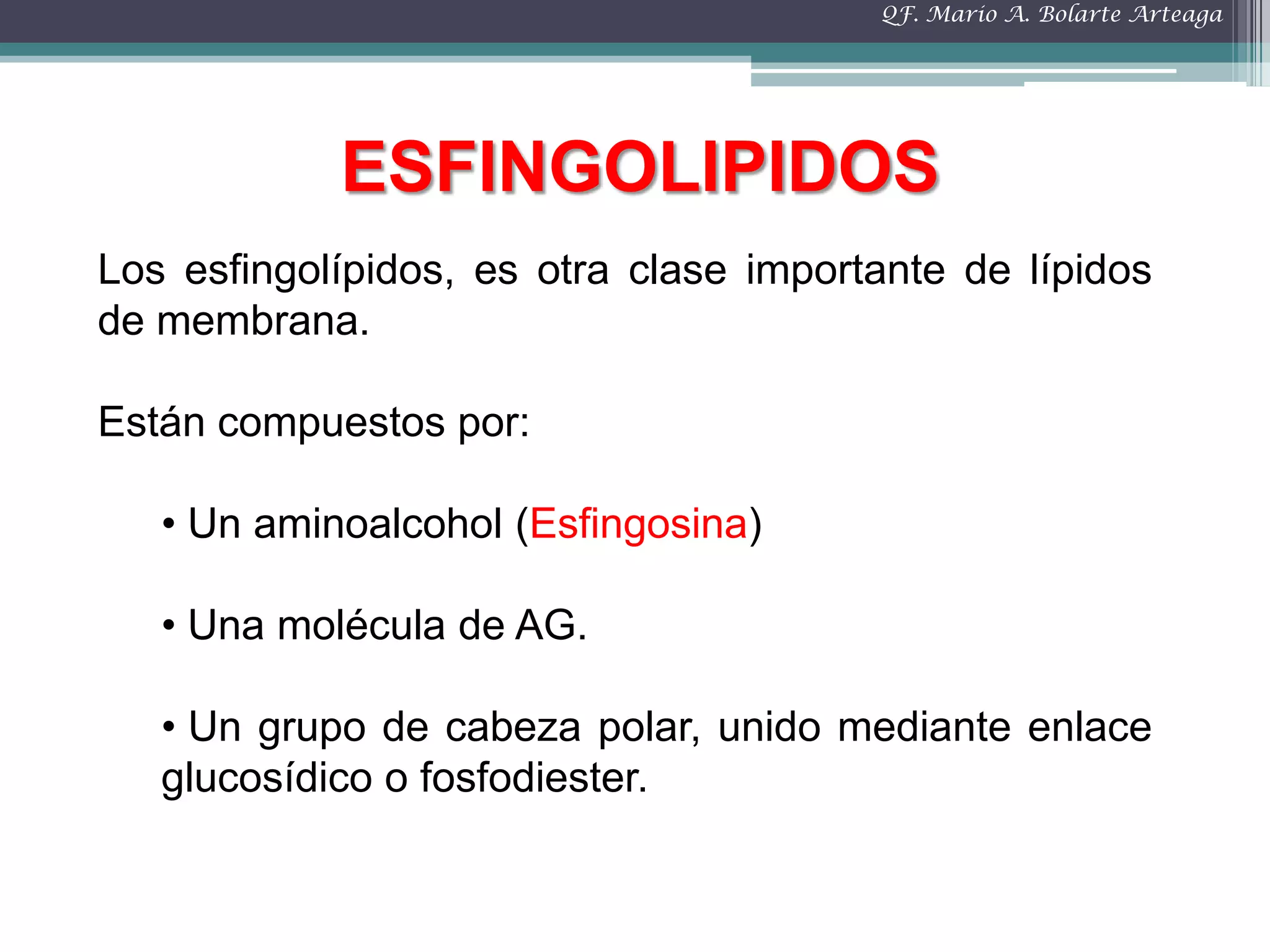 Lipidos Bioquímica | PPTX